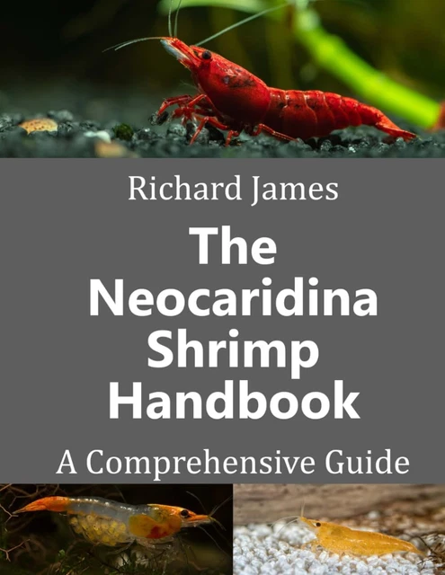 THE NEOCARIDINA SHRIMP Handbook: A complete guide to Cherry Shrimp By ...