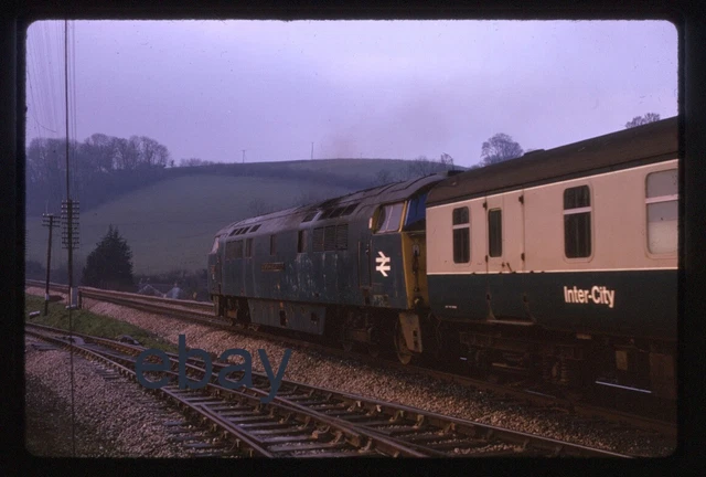 ORIGINAL 35MM SLIDE Class 52 D1016 'Western Gladiator' w/ 2AI0 08:42 ...