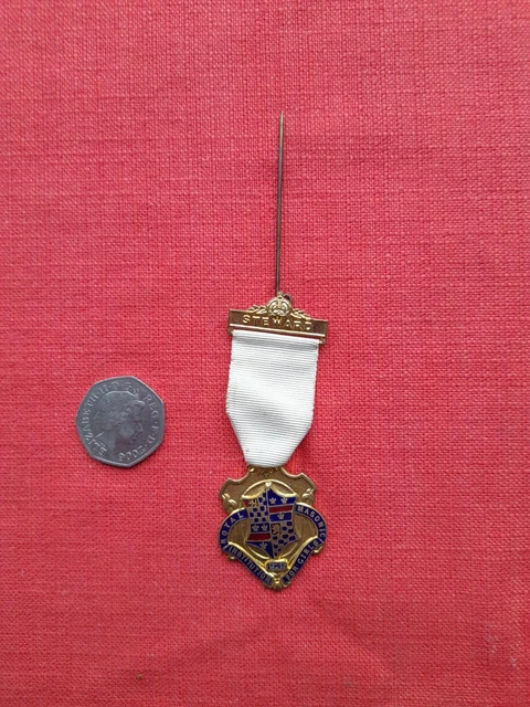 RARE VINTAGE ROYAL Masonic Institution For Girls Stewards Medal Badge ...