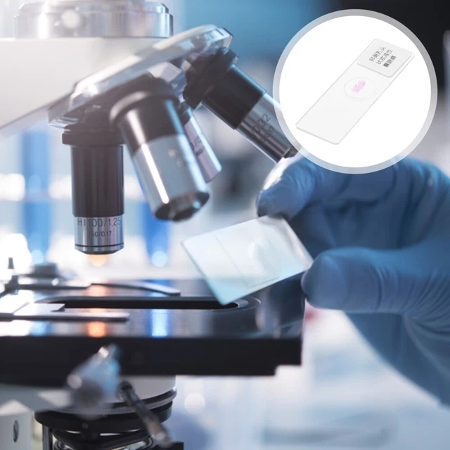 SAMPLE MICROSCOPE SLIDES Sample Prepared Slides Glass Microscope Slide ...