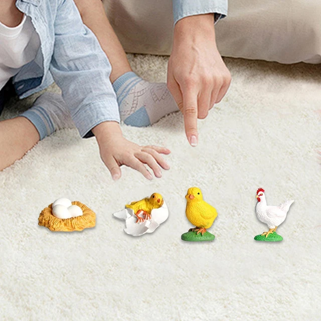 LIFE CYCLE OF Chicken Toys Puzzle for Age 3 to 6 Animal Growth Cycle £ ...