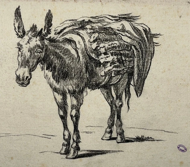 ANE DESSIN ORIGINAL Collection Le Beuffe LEBEUFFE Animalia XIX° EUR 250 ...