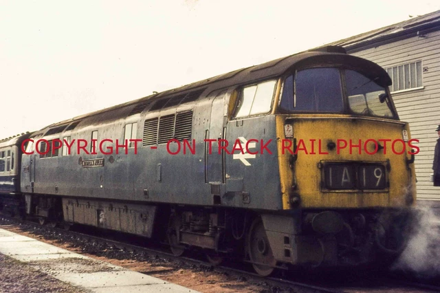 UK RAILWAY PHOTOGRAPH Of Class 52 Western D1050. Rm52-137 £1.70 ...