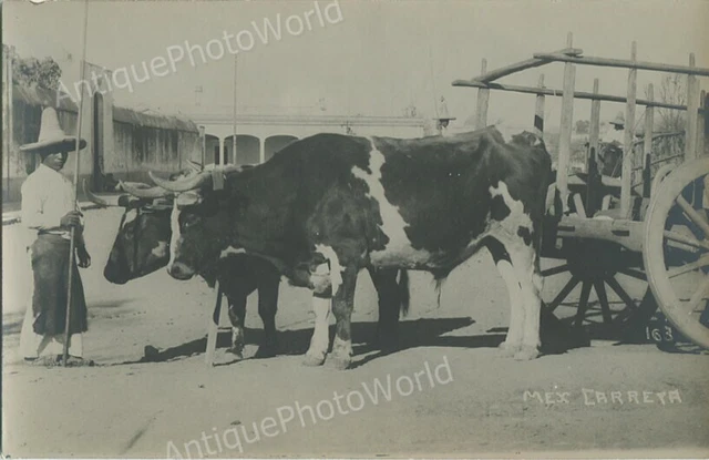 MÉXICO CAMPESINO CON Toro Buey Cart Antigüedad Foto PC EUR 22,14 ...