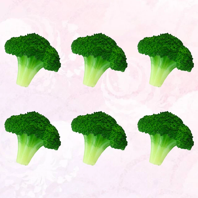 6 PIÈCES MODÈLE artificiel brocoli faux accessoire brocoli modèles de ...
