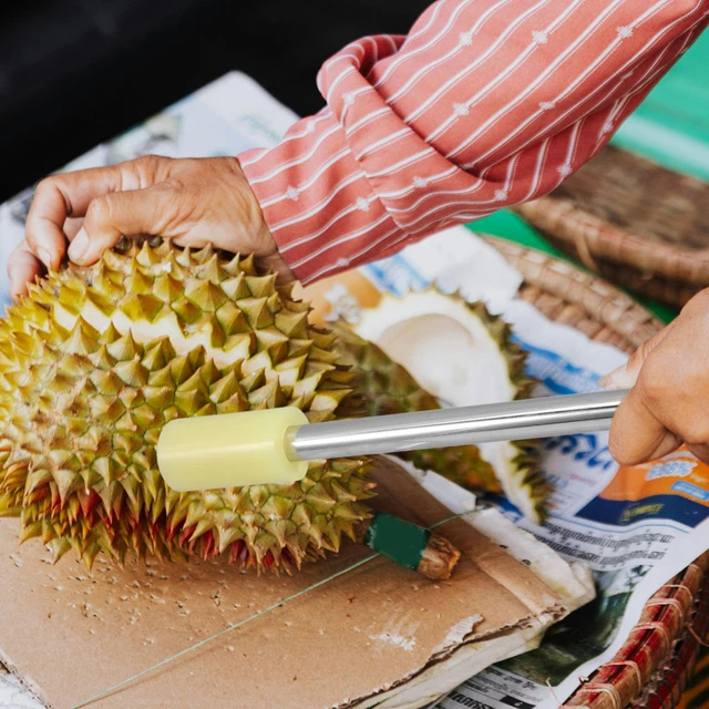 4 PACK METAL Durian Testing Stick Fruit Rod Ripe Tool Tools Knocking ...