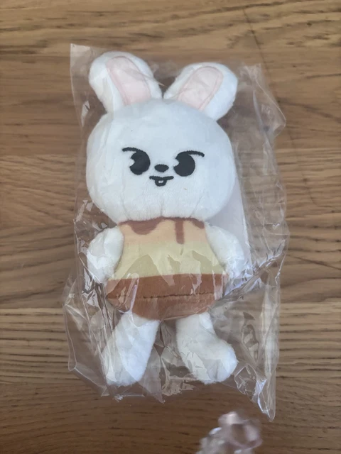 OFFICIAL STRAY KIDS pudding BagCharm Leebit / Lee Know Maniac Encore ...