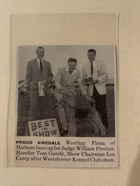 WESTCHESTER KENNEL CLUB Show Westhay Fiona Proctor 1957 pannello calcio ...