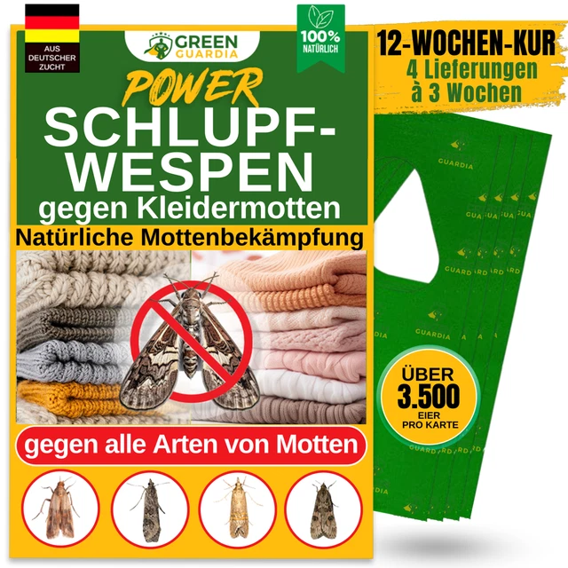 Schlupfwespen Gegen Kleidermotten Kaufen