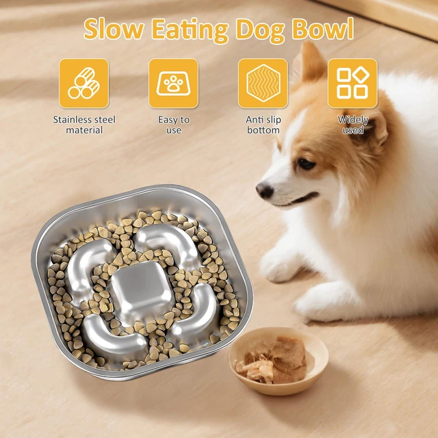 SQUARE SHAPE DOG Food Bowl Stainless Steel Slow Feeder Dog Bowl With ...