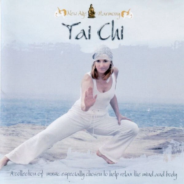 PIERRE VANGELIS TAI Chi CD Album 8184 EUR 11,60 - PicClick FR