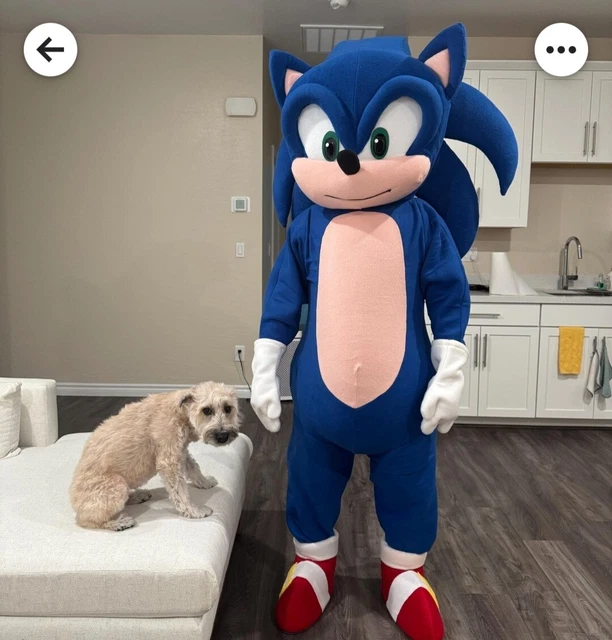 SONIC THE HEDGEHOG Lookalike Mascot Costume - Premium Quality - UK ...