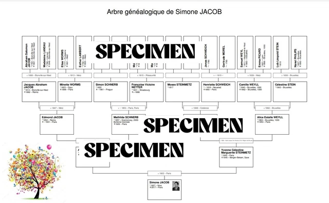 ACTE DE DECES + Arbre Genealogique De Simone Veil EUR 1,00 - PicClick FR