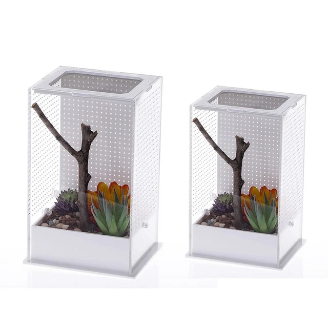 REPTILE FEEDING BOX Transparent Plastic Breeding Box for Insect Good ...