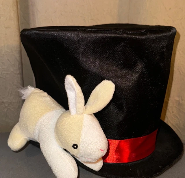 MAGICIAN TOP HAT White Rabbit Plush On Brim + Cape Magic Show Costume ...