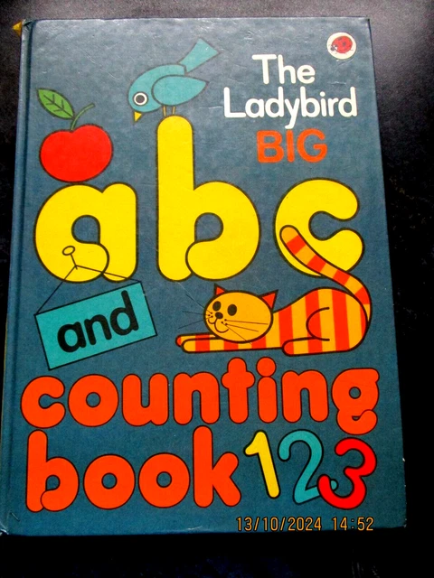 THE LADYBIRD BIG A. B. C. and Counting Book By Lynne Bradbury Large ...