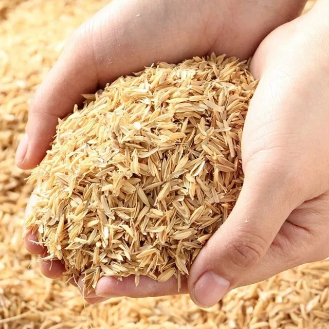 RICE HULLS/RICE HUSKS/100% Natural Organic Compost Hydroponic Plant ...