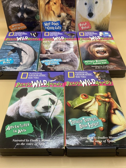 NATIONAL GEOGRAPHIC REALLY Wild Animals Kids Vhs Lot Of 8 Tapes ...