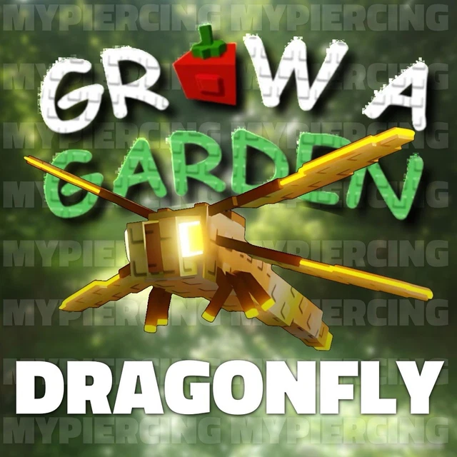 GROW A GARDEN 🌻 Dragonfly £4.41 - PicClick UK