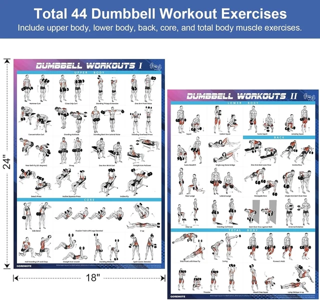 DUMBBELL WORKOUT POSTER Set (2 Pack) - Workout Charts for Home Gym ...
