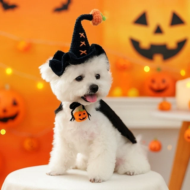 BREATHABLE WOVEN PETS Wizard Hat Mini Halloween Cat Headgear Photos ...