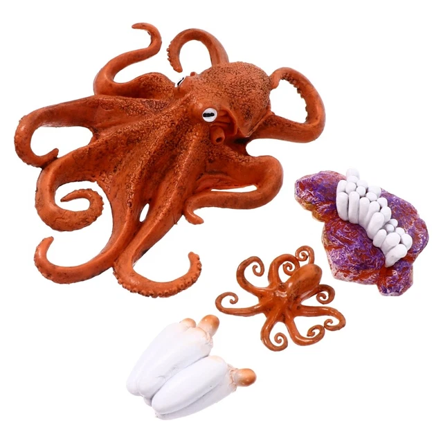 GROWTH CYCLE TOYS life cycles Life Cycle of Octopus Life Cycle Creature ...