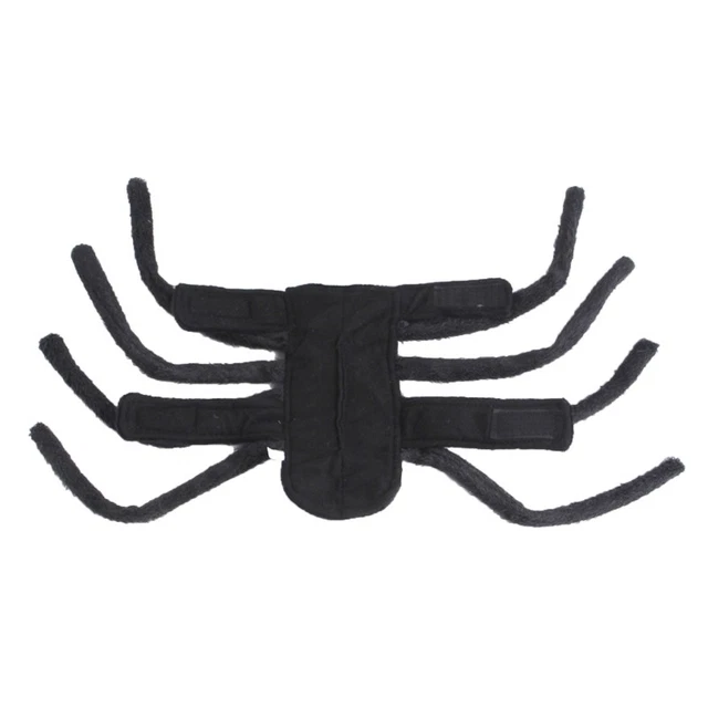 FUNNY CAT SPIDER Outfit Cosplay Costumes Party Dressing Accessories Pet ...