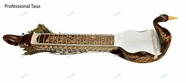 MUSICAL INSTRUMENT TAUS Professional Quality Mayuri Veena Peacock ...