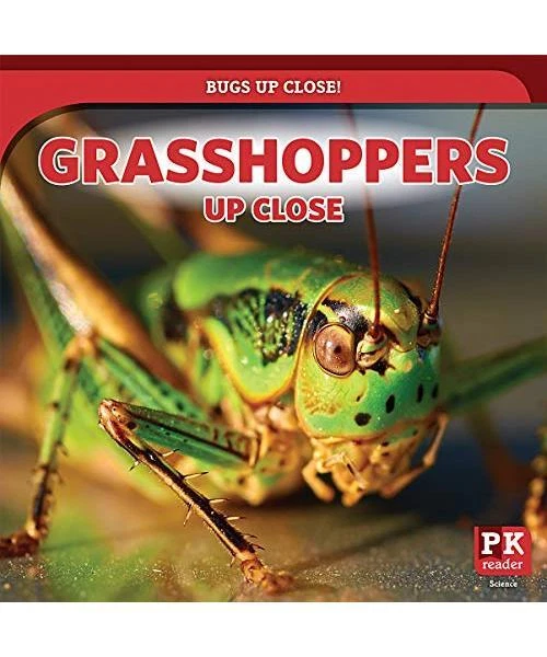 GRASSHOPPERS UP CLOSE (Bugs Up Close!), Morlock, Rachael EUR 18,45 - PicClick FR