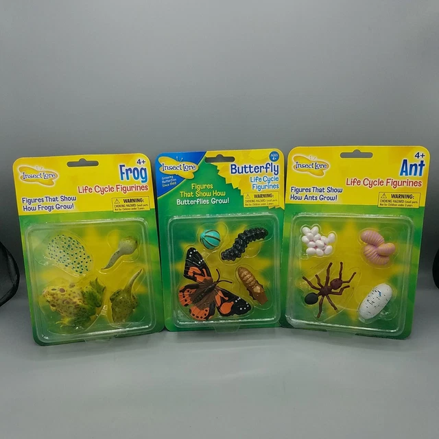 INSECT LORE LIFE Cycle Stages Model Set of 3 Frog Butterfly Ant ...