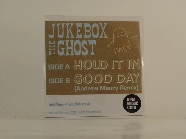 THE JUKEBOX GHOST HOLD IT IN (D80) 2 Track Promo CD Single Picture Sleeve PLUGGE EUR 6,21 ...