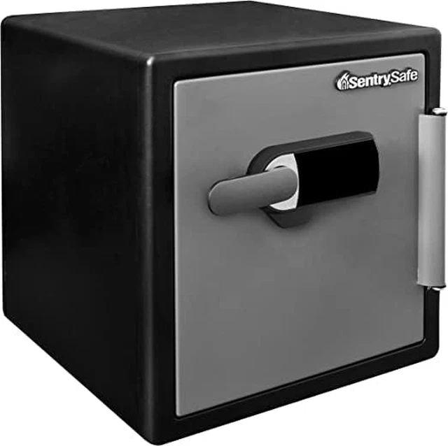 SENTRY SAFE SFW123TTC - Fireproof Safe and Money Box with Alarm ...