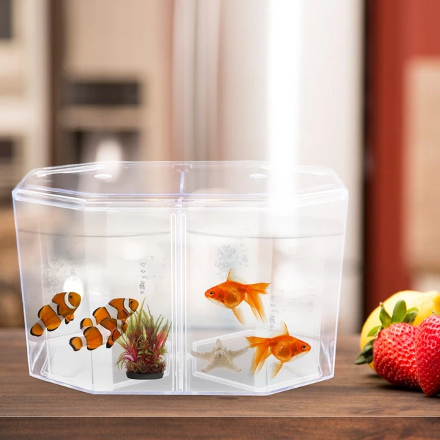 FISH BOX AQUARIUM Divider Tank Fish Shrimp Guppy Clownfish Breeding Box ...