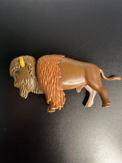 Indian Hunting Spears