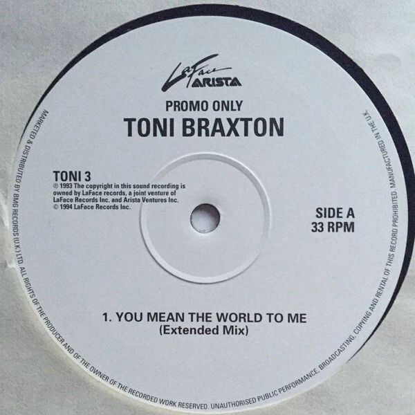 TONI BRAXTON - You Mean The World To Me (12", Promo) EUR 15,38 ...