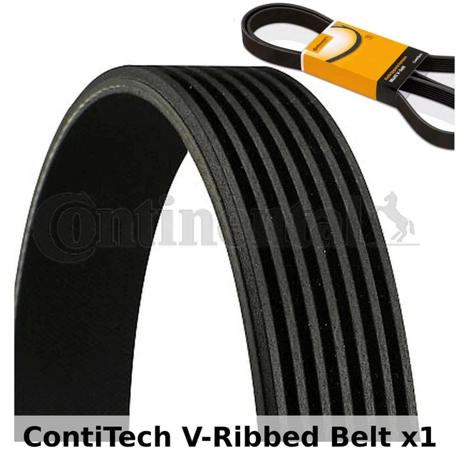 CONTITECH V-RIBBED BELT - 7PK1125 , 7 Ribs - Fan Belt Alternator, Drive ...