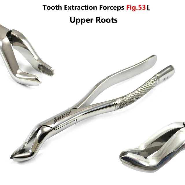 TOOTH EXTRACTOR FORCEPS Extraction Dental Surgical Forceps Fig. 53L ...