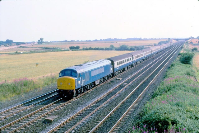 ORG COLOUR RAILWAY Slide 35Mm Br Diesel Peak Class 45 136 On Train 1981 ...