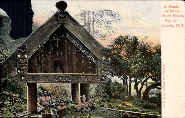 NEW ZEALAND PATUKA or maori store house bay of Island 1907 stamp box ...