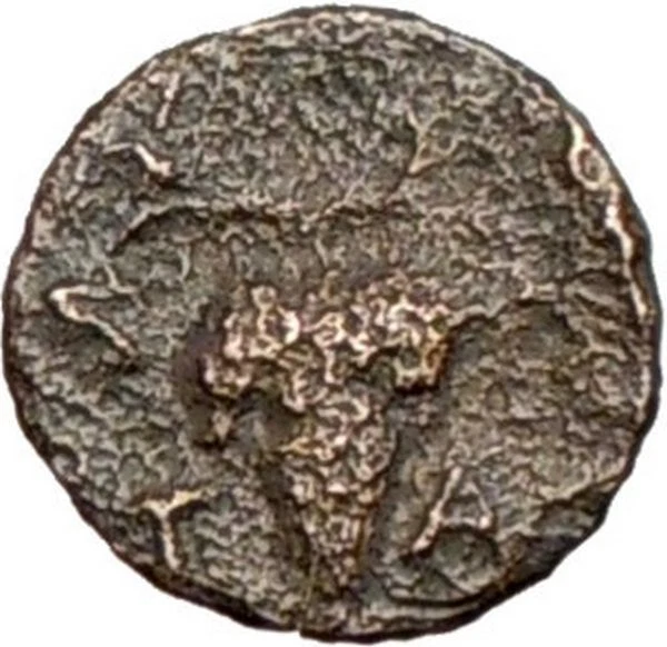 TEMNOS AIOLIS 350BC Rare Ancient Greek Coin Dionysos Wine God Grapes ...