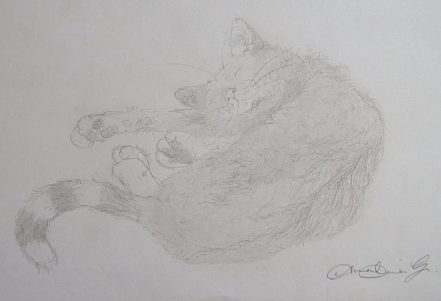 ORIGINAL LIGHT TONAL pencil drawing sketch of a cat curled sleeping £24 ...