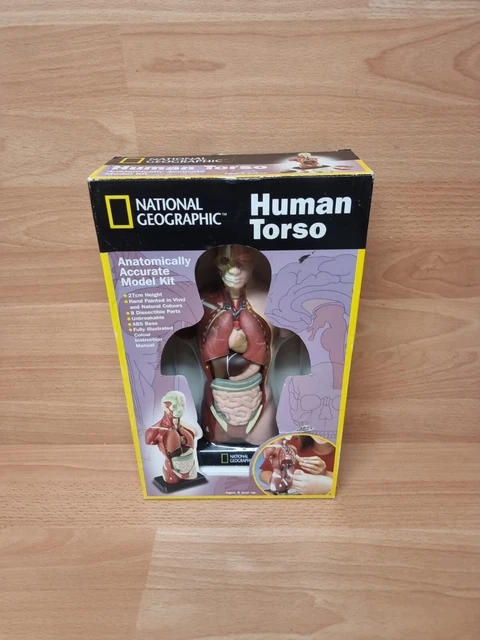 NATIONAL GEOGRAPHIC HUMAN Body Torso Cross Section Anatomical Complete ...