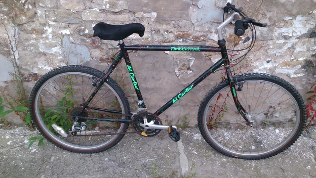 AL CARTER TIMBER trail retro mountain bike grab a bargain 20" frame £5. ...