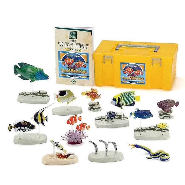 COLORATA 3D REAL Figure Box Nature's Library Coral Reef Fish Action ...