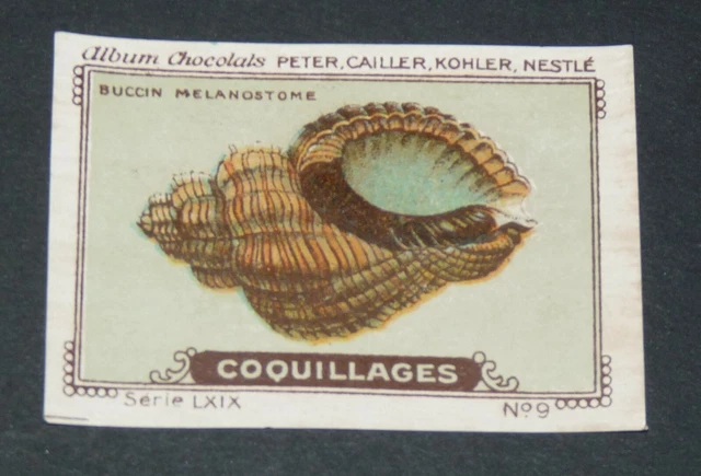 CHROMO PETER CAILLER Kohler Nestle 1928 Serie 69 Coquillages N°9 Buccin ...
