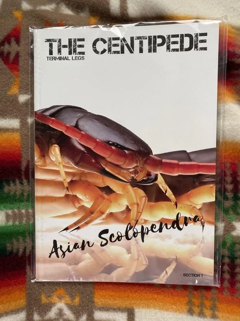 THE CENTIPEDE ASIAN Scolopendra SECTION 1 From Japan £294.71 - PicClick UK