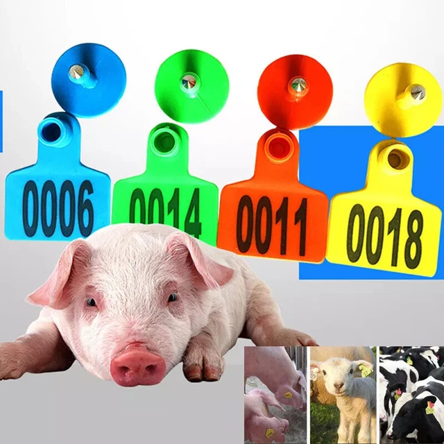 100PCS NUMBER LARGE Ear Tag Animal Goat Sheep Pig Cow Cattle Livestock ...
