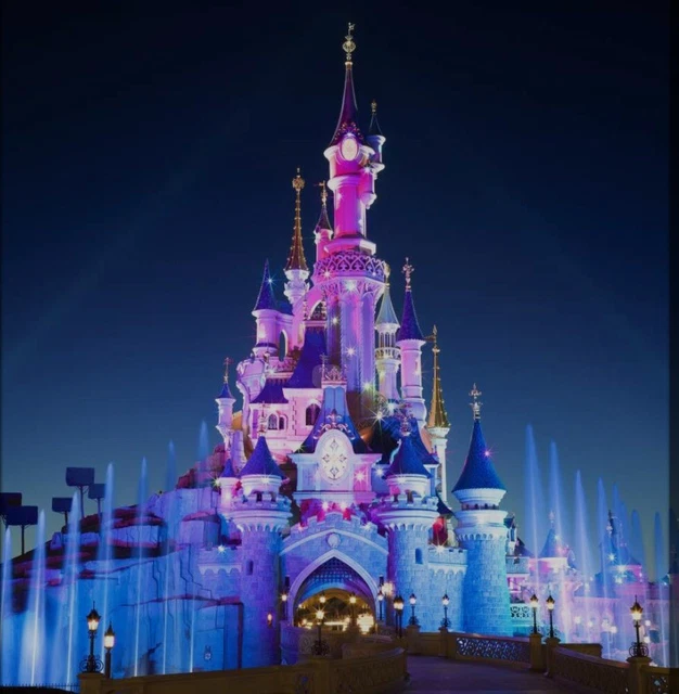 15 VIP FAST-PASS DISNEYLAND PARIS 2025 EDITION - ORDER on TIME FOR CHRISTMAS! £225.00 - PicClick UK