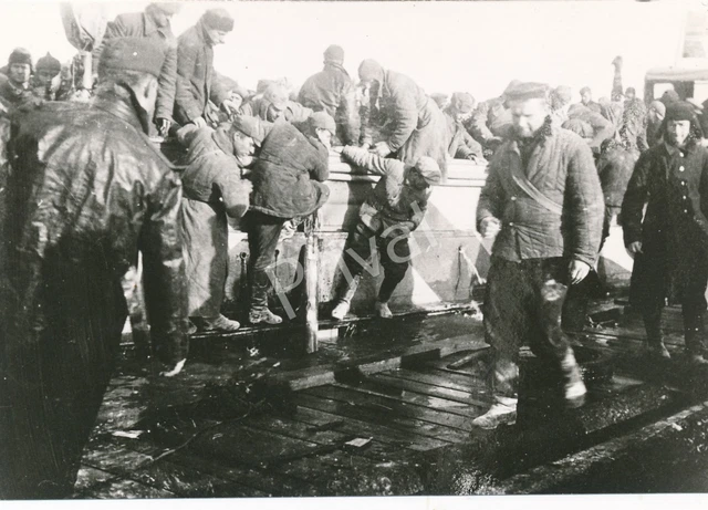 FOTO KRIEGSMARINE LABO sowjetischen Kriegsgefangenen dt. Soldaten Ösel ...