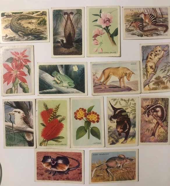DISCOVER AUSTRALIA WITH Shell - 55 Vintage Collectors Cards from 3 ...